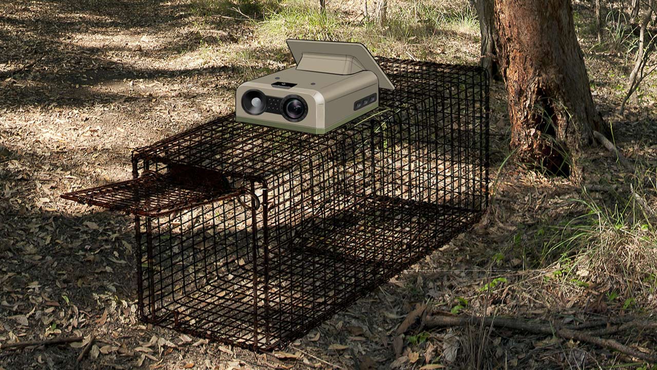 animal detection system - outerspace design